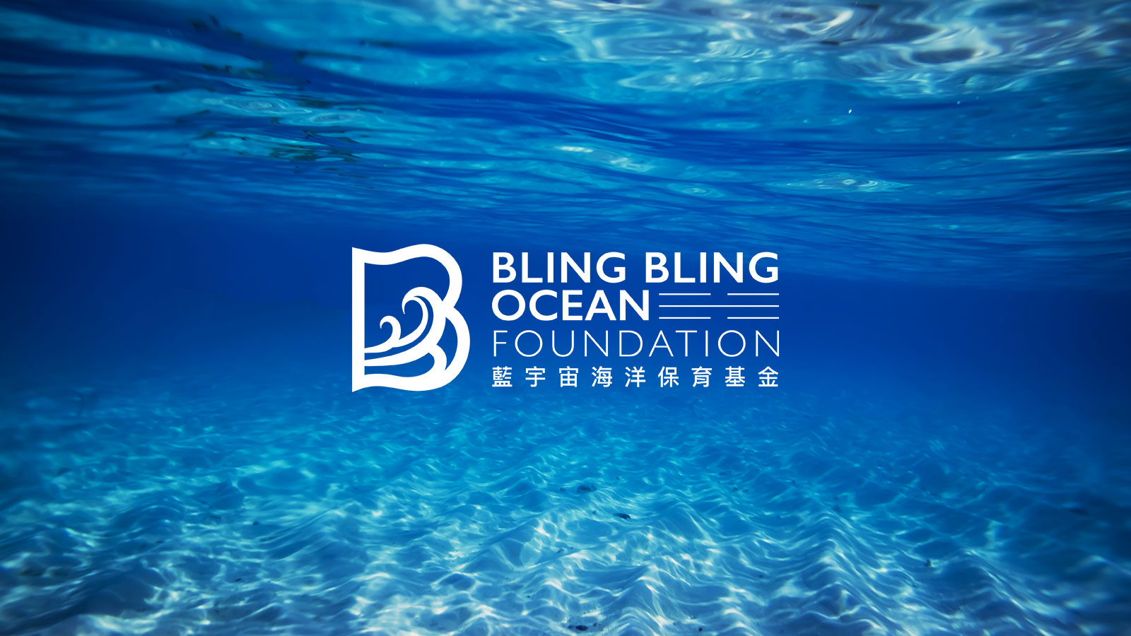 Bling Bling Ocean Foundation