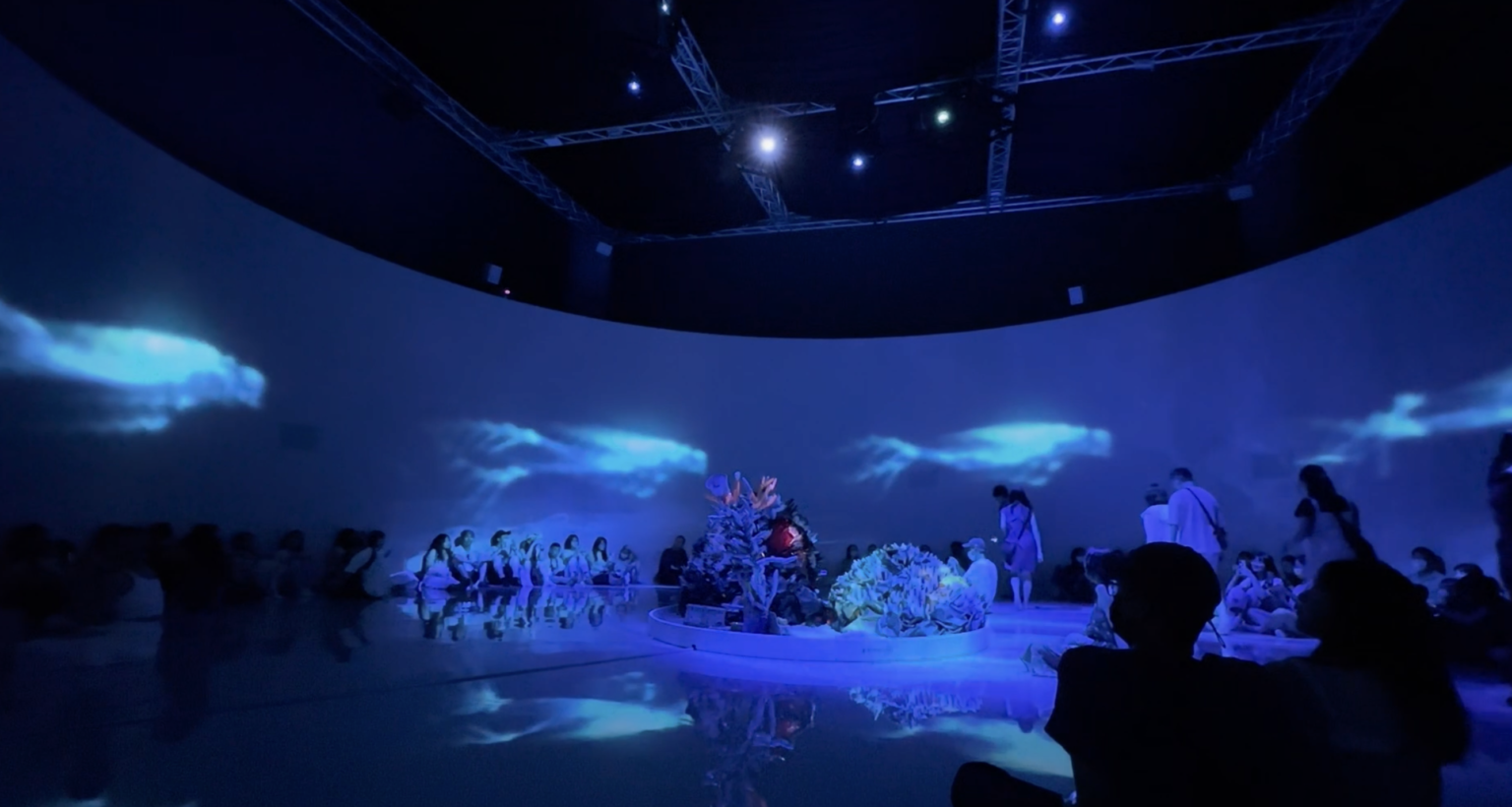 About Us - Bling Bling Ocean Foundation